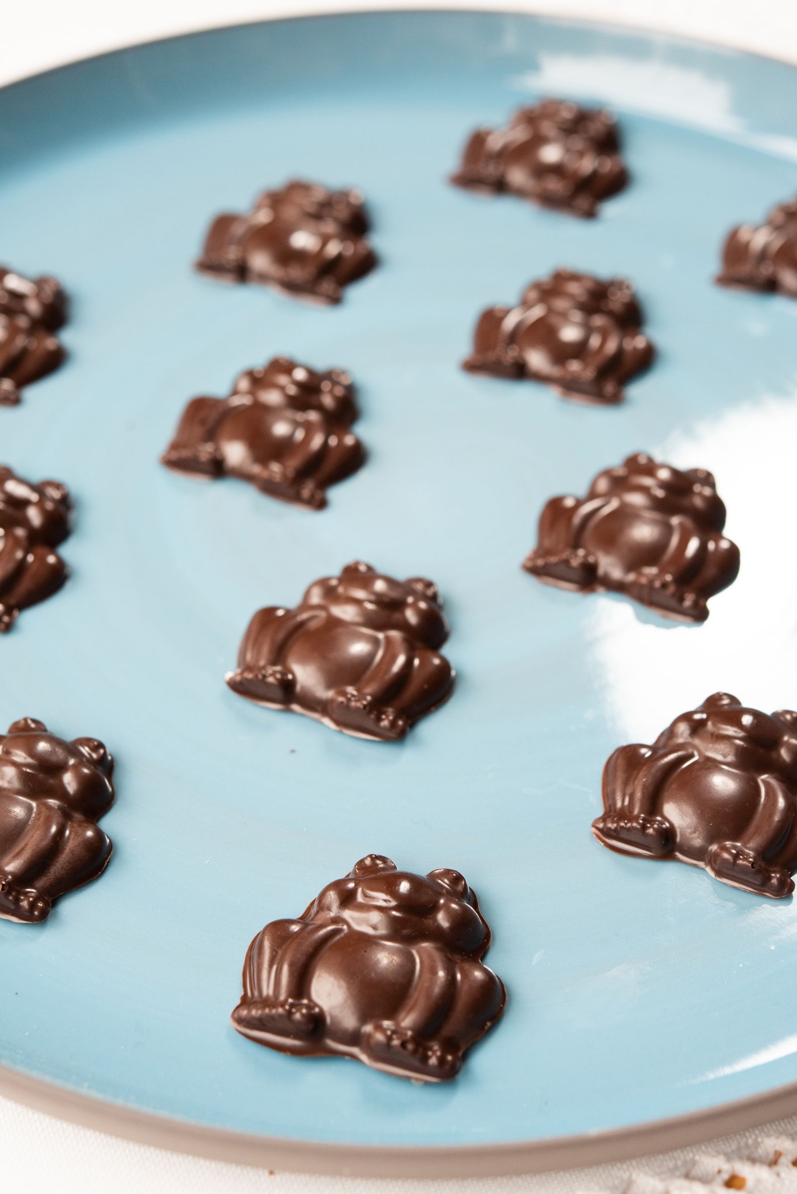 Chocolate frogs – Ta'amim